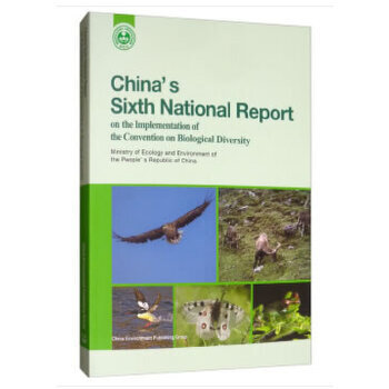 China's Sixth NationaI Report