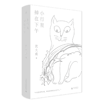 小行星掉在下午 精装 宝珀理想国文学奖决选作者沈大成全新小说集 给沈大成6分钟 她给