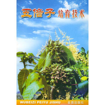 五倍子培育技术