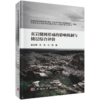 页岩缝网形成的影响机制与储层综合评价