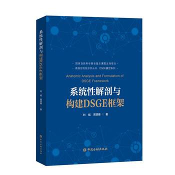系统性解剖与构建DSGE框架