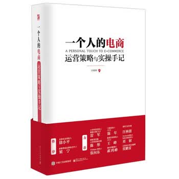一个人的电商：运营策略与实操手记（双色）