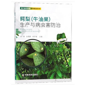 鳄梨(牛油果)生产与病虫害防治 牛油果栽培种植技术书籍 牛油果种植方法书 牛油果栽培实用技术 果树整