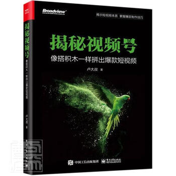 RT揭秘号(像搭积木一样拼出*短)卢大叔电子工业出版社9787121408595 制作