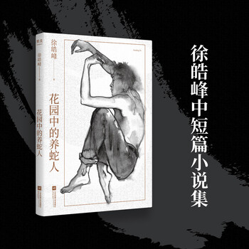 花园中的养蛇人（徐皓峰中短篇小说集）