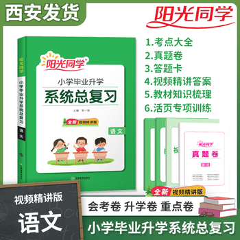 阳光同学小学毕业升学系统总复习 小升初同步练习册专项训练真题模拟测试卷冲刺必刷题 语文 人教版
