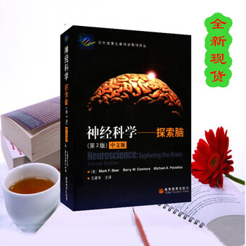 神经科学 探索脑 第2版中文版 王建军主译2004年 全彩色内容