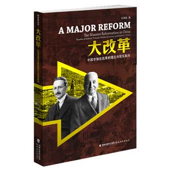 大改革：中国市场化改革的理论与现实取向