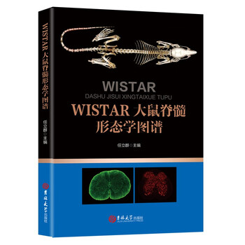 WISTAR大鼠的脊髓形态学图谱