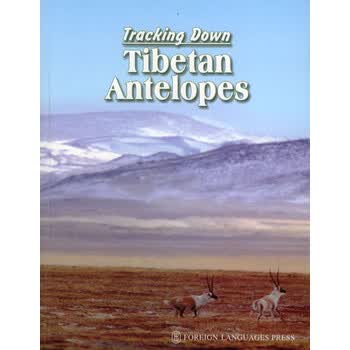 追寻藏羚羊 Tracking Down Tibetan Antelopes