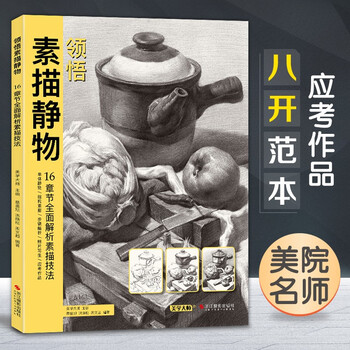 美学大师 领悟素描静物书籍 大八开临摹范本入门经典教材 组合画册集单个罐子道具结构解析照片写生