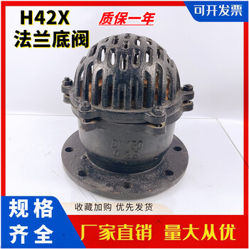 铸铁法兰底阀H42X水泵吸水阀进水口单向阀莲蓬头止回阀DN80100150 DN300--6KG孔距【图片 价格 品牌 报价】-京东