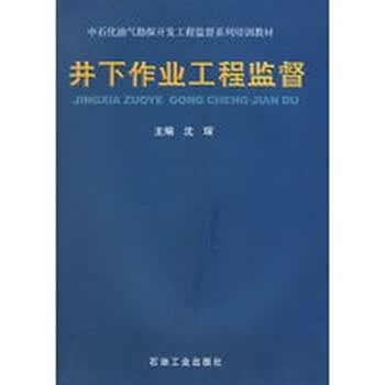 井下作业工程监督 沈琛 石油工业出版社