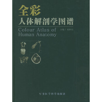 全彩人体解剖学图谱