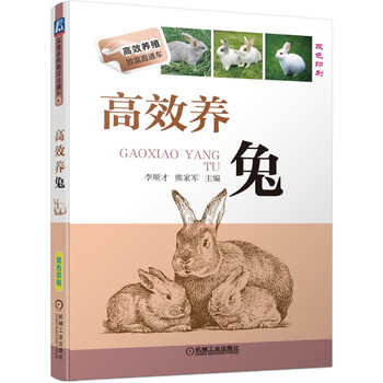 高效养兔