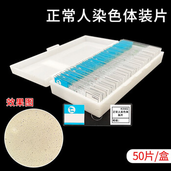 生物切片永久装片人血涂片人体四大组织字母e上字初高中神经装片 正常人染色体装片50片
