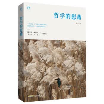 正版图书 哲学的慰藉 赵丰 北京时代华文书局 9787569902136