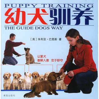 幼犬驯养