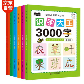 学前识字3000个 识字大王加厚拼音练习幼小衔接教材拼音看图书认知书卡片大全（全6册）