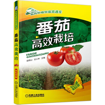 番茄高效栽培/高效种植致富直通车