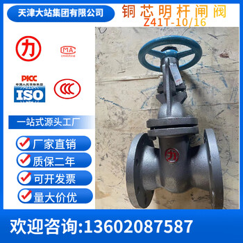 力天津大站力牌老型铜杆铜芯明杆楔式铸铁法兰闸阀Z41T/W-10/16 DN200【图片 价格 品牌 报价】-京东