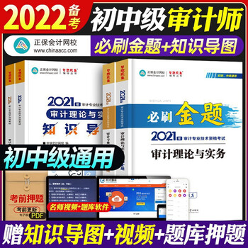 备考2022年注册审计师初中级考试2021年审计理论与实务+审计专业相关知识必刷金题资格考试教材同步试题题库 必刷金题+知识导图 理论与实务+相关知识