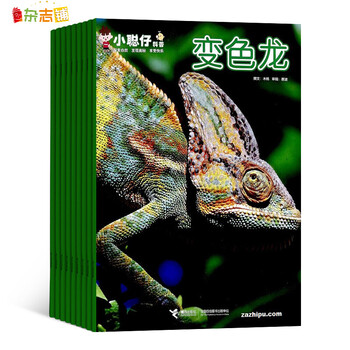 包邮小聪仔自然科普版杂志铺2022年7月起订1年共12期订阅 儿童类2-8岁幼儿科普杂志 少儿阅读期刊杂志 激发学习兴趣增长科普知识 少儿科普期刊 专家精华之作 开发宝宝智力 杂志铺