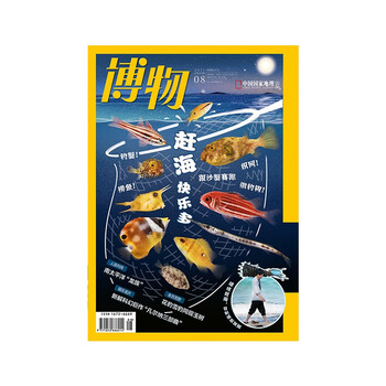 【202108】赶海快乐多 博物杂志2021年8月刊 花豹雪豹 毛利人 虾虎繁殖 中国国家地理旗舰店