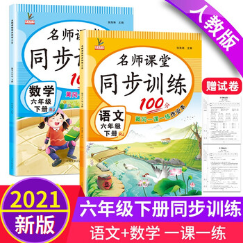 2021版名师课堂同步训练100分语文+数学六年级下册2本单元同步语文数学专项练习题6年级期末总复习