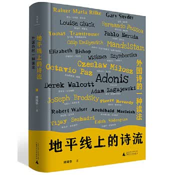 正版  诗想者·地平线上的诗流：外国诗的种读法  广西师范大学出版社