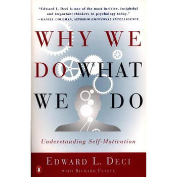 我们为什么要做我们正在做的事情：理解自我动机 Why We Do What We Do