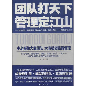 团队打天下，管理定江山 王剑 台海出版社