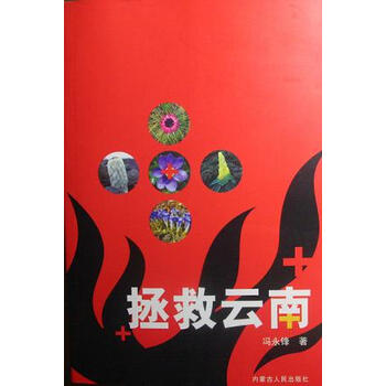 拯救云南 冯永锋【正版书】