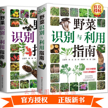 2册 野菜识别与利用指南+野果识别与利用指南 野果特点分类形态特征野果采食注意事项食用方法食疗药用功
