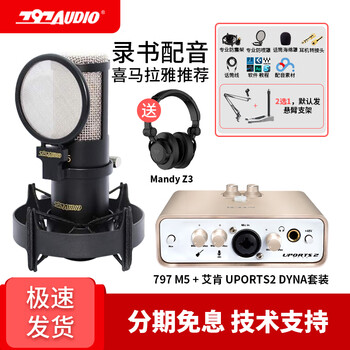 797AUDIO 【人气精选】北京797 M5专业电容话筒录音有声演讲录书K歌配音主播直播麦克风套餐 M5+艾肯UPORTS2 DYNA【图片 ...