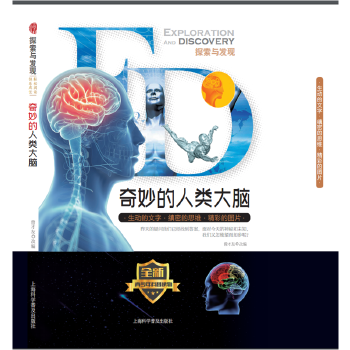 奇妙的人类大脑
