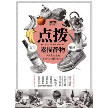 点拨(素描静物)/敲门砖