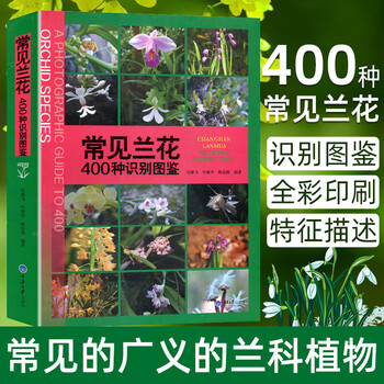 常见兰花400种鉴别图鉴 兰花的基础知识 兰花的形态特征 兰花的分类 兰花种类介绍 自然科普书 重