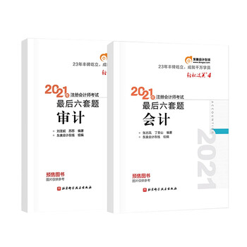 会计+审计轻4 刘圣妮,苏苏