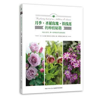 月季圣诞玫瑰铁线莲的种植秘籍
