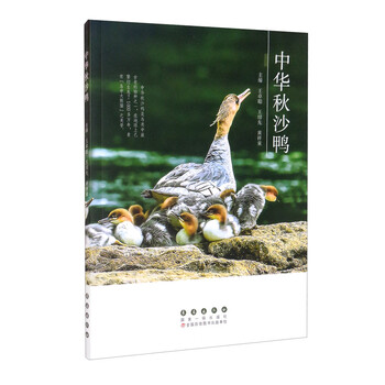 中华秋沙鸭