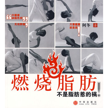 燃烧脂肪【正版图书】