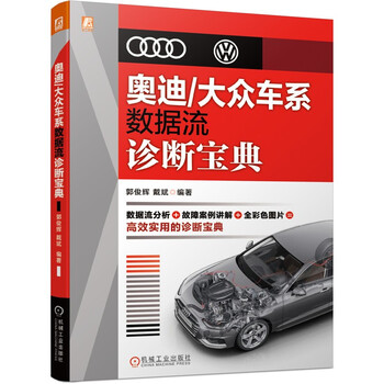 奥迪/大众车系数据流诊断宝典