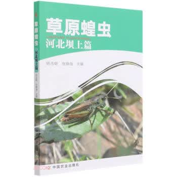 草原蝗虫(河北坝上篇)