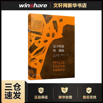 过于喧嚣的孤独