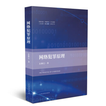 正版图书 网络犯罪原理 王肃之 人民法院出版社 9787510927102