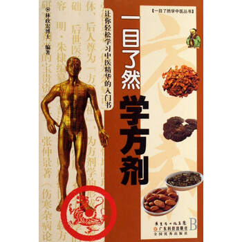 一目了然学方剂/一目了然学中医丛书