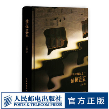 捕捉意象 王瑶谈摄影系列丛书之二