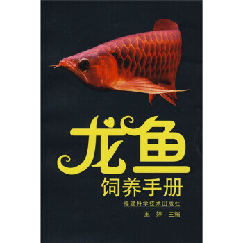 龙鱼饲养手册 王婷 9787533531942 福建科技出版社