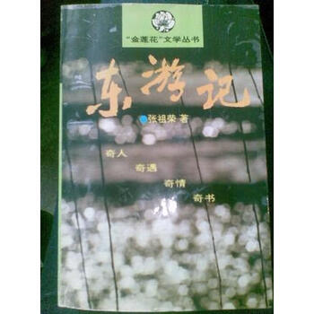 东游记 【正版书】